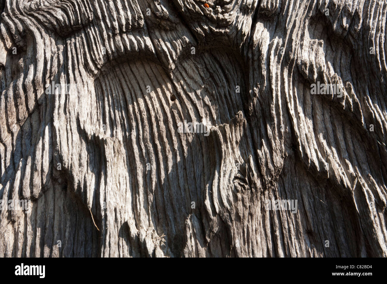 Weathered timber uk hi-res stock photography and images - Alamy