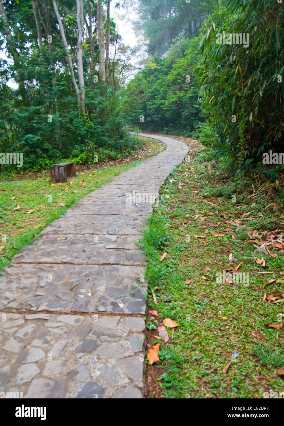 Single lane road hi-res stock photography and images - Alamy