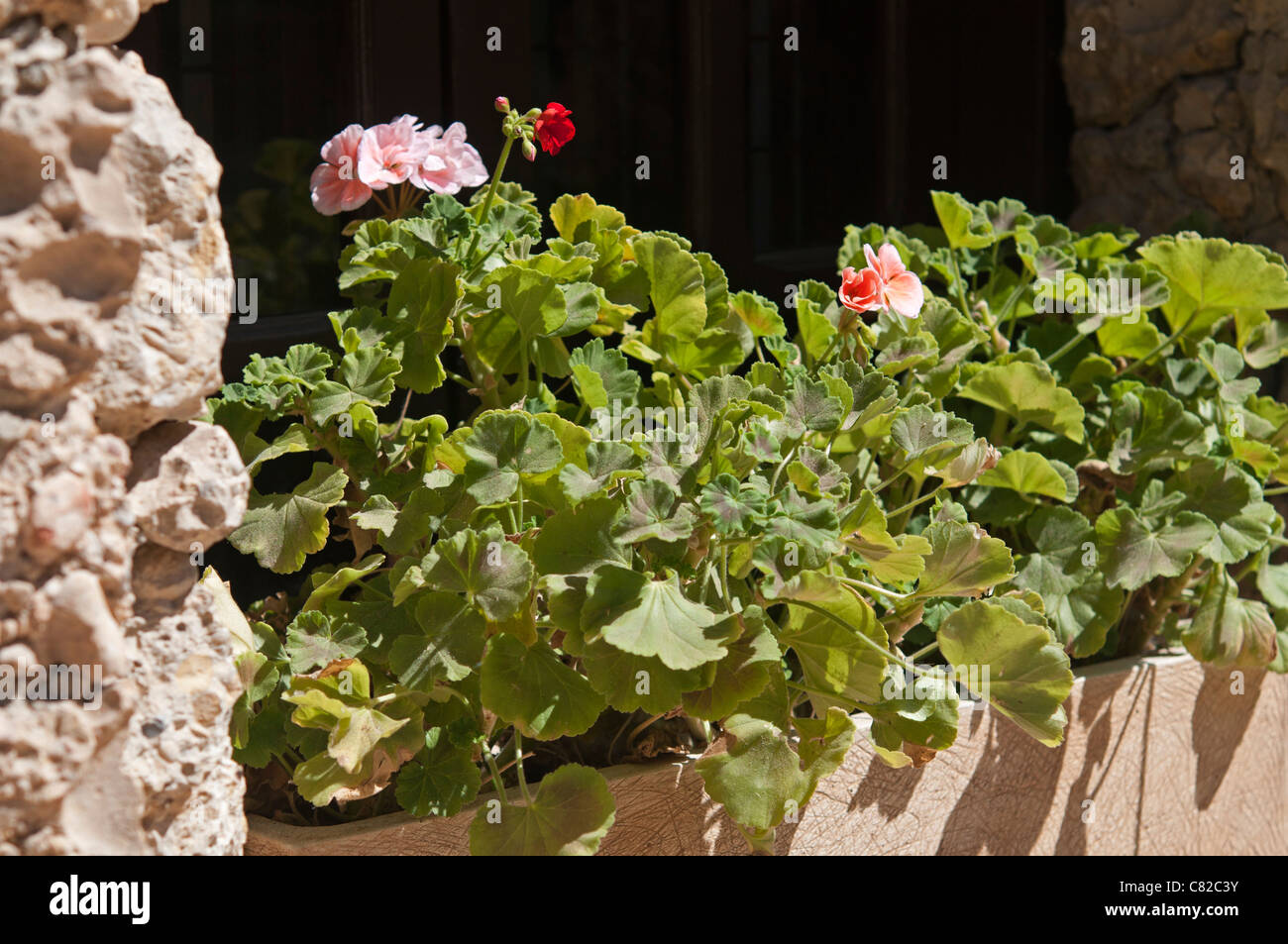 Window boxes with colourful flowers at the Santuario de la Virgen de la ...