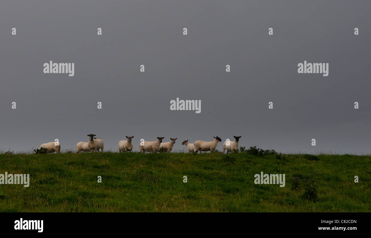 Omenous hi-res stock photography and images - Alamy