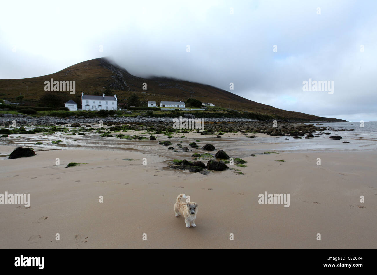 The Beach at Dugort on Achill Island in County Mayo called Golden ...