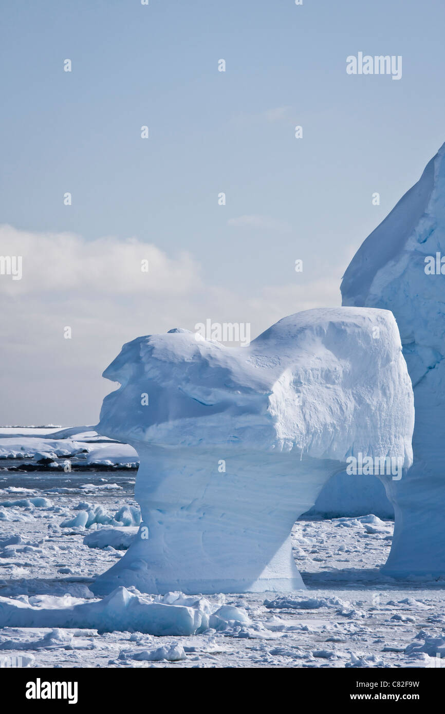 Antarctic iceberg in the snow Stock Photo - Alamy
