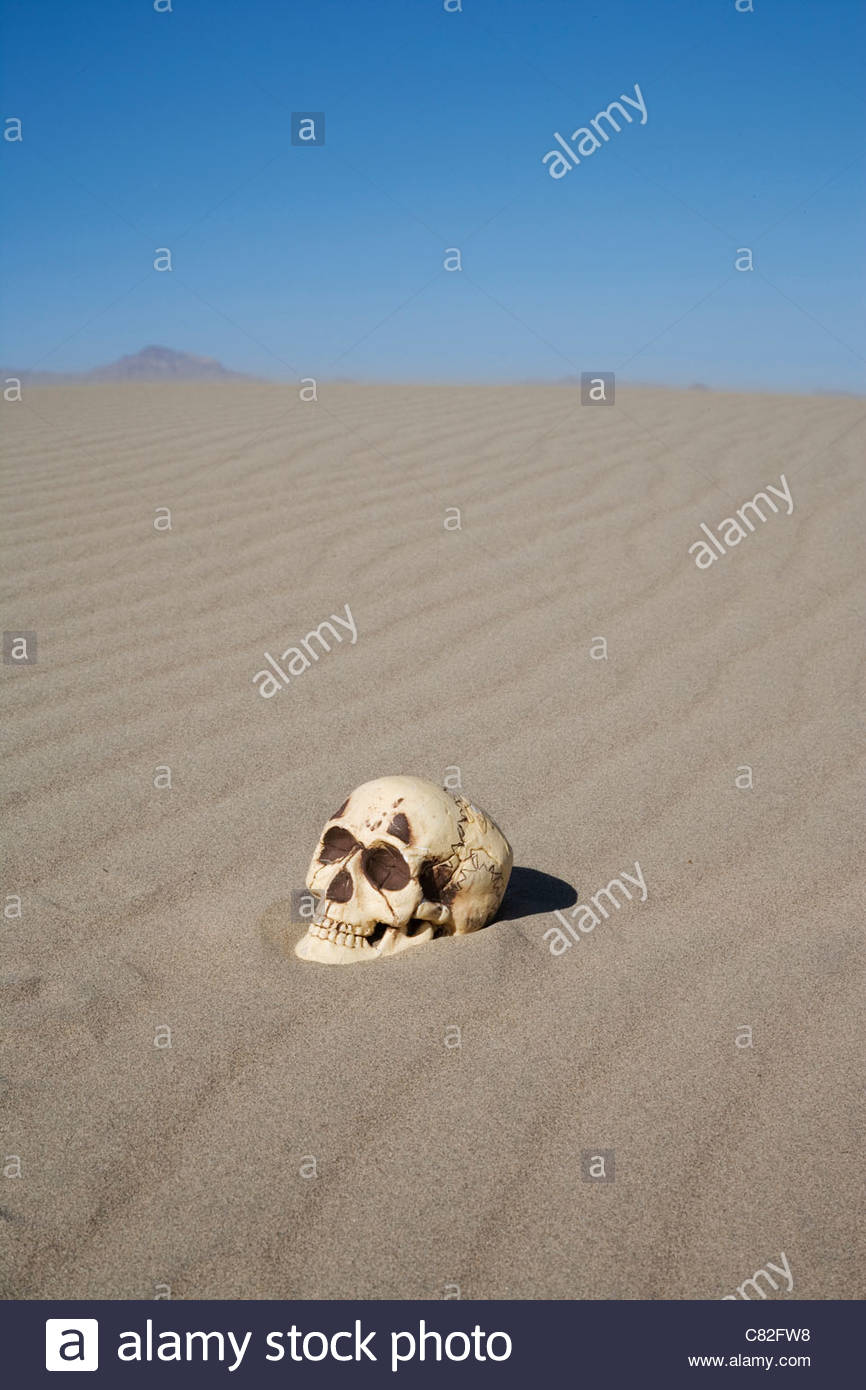 California Usa Death Valley National Park Skull Stock Photos ...