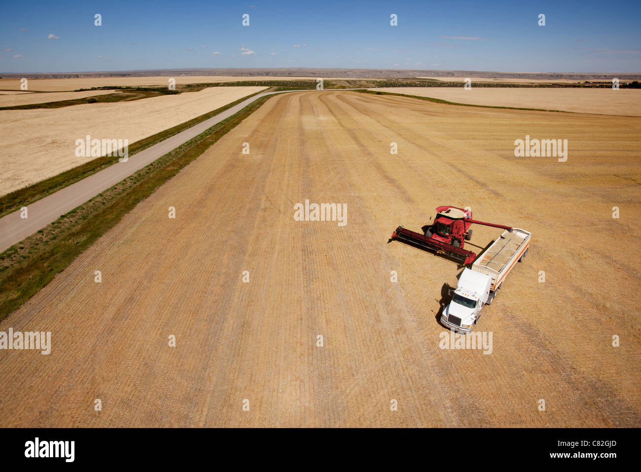 Aerial shot of a combine emptier a hopper into a semi truck on the ...