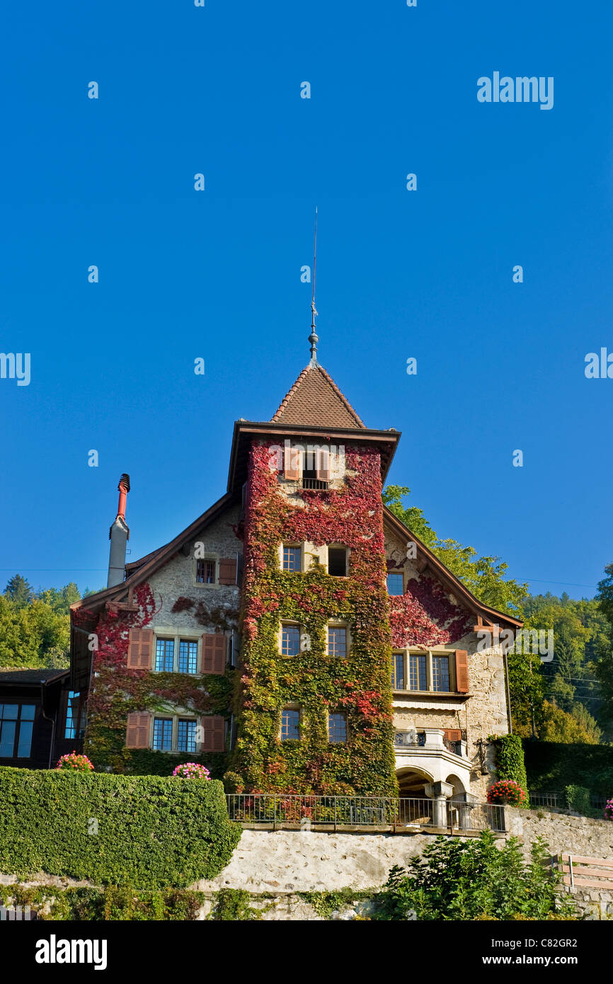Chardonne, Lavaux vineyards, UNESCO, Switzerland Stock Photo - Alamy