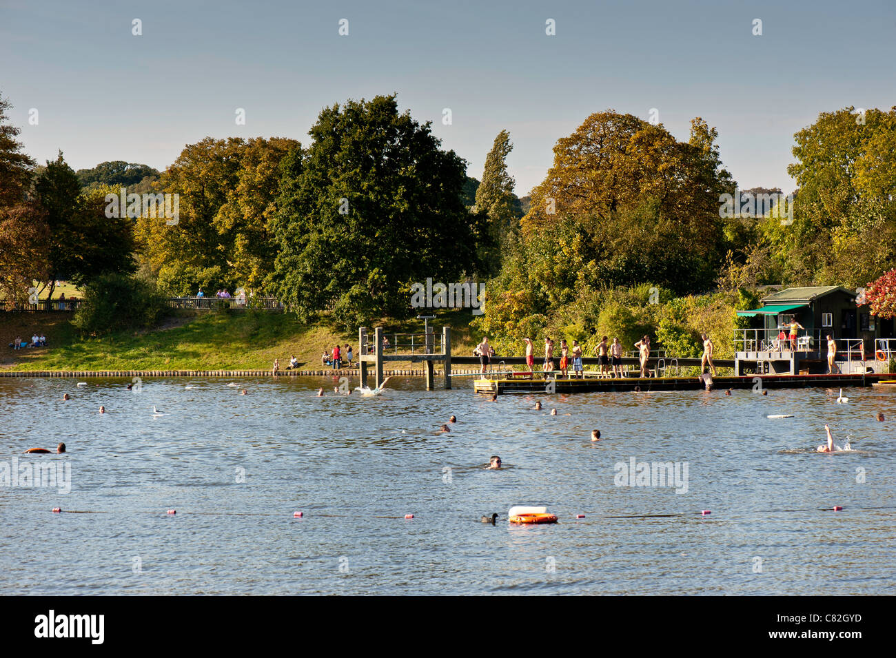 Hampstead pond men's hi-res stock photography and images - Alamy