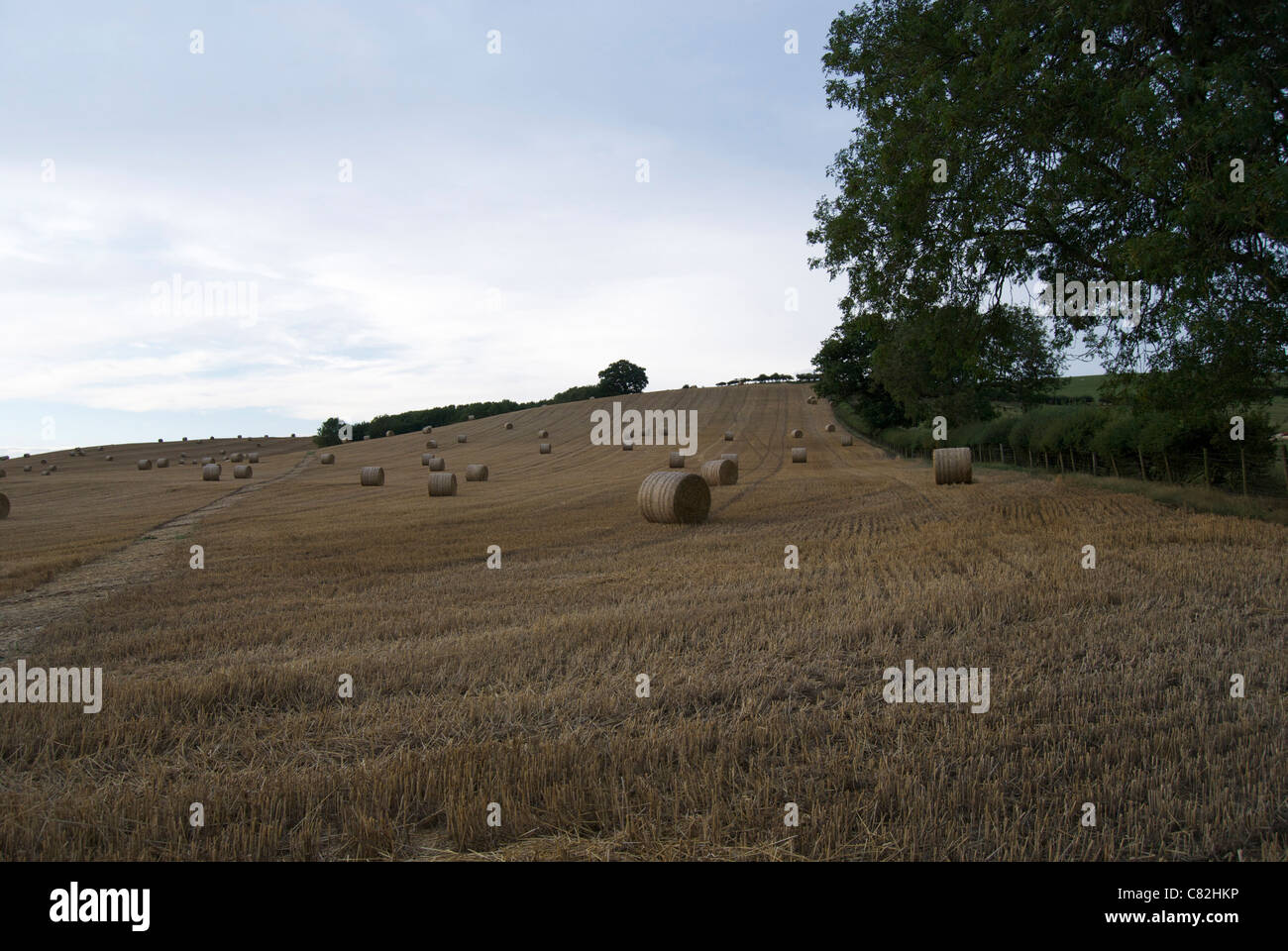 Bales of wheat hi-res stock photography and images - Alamy