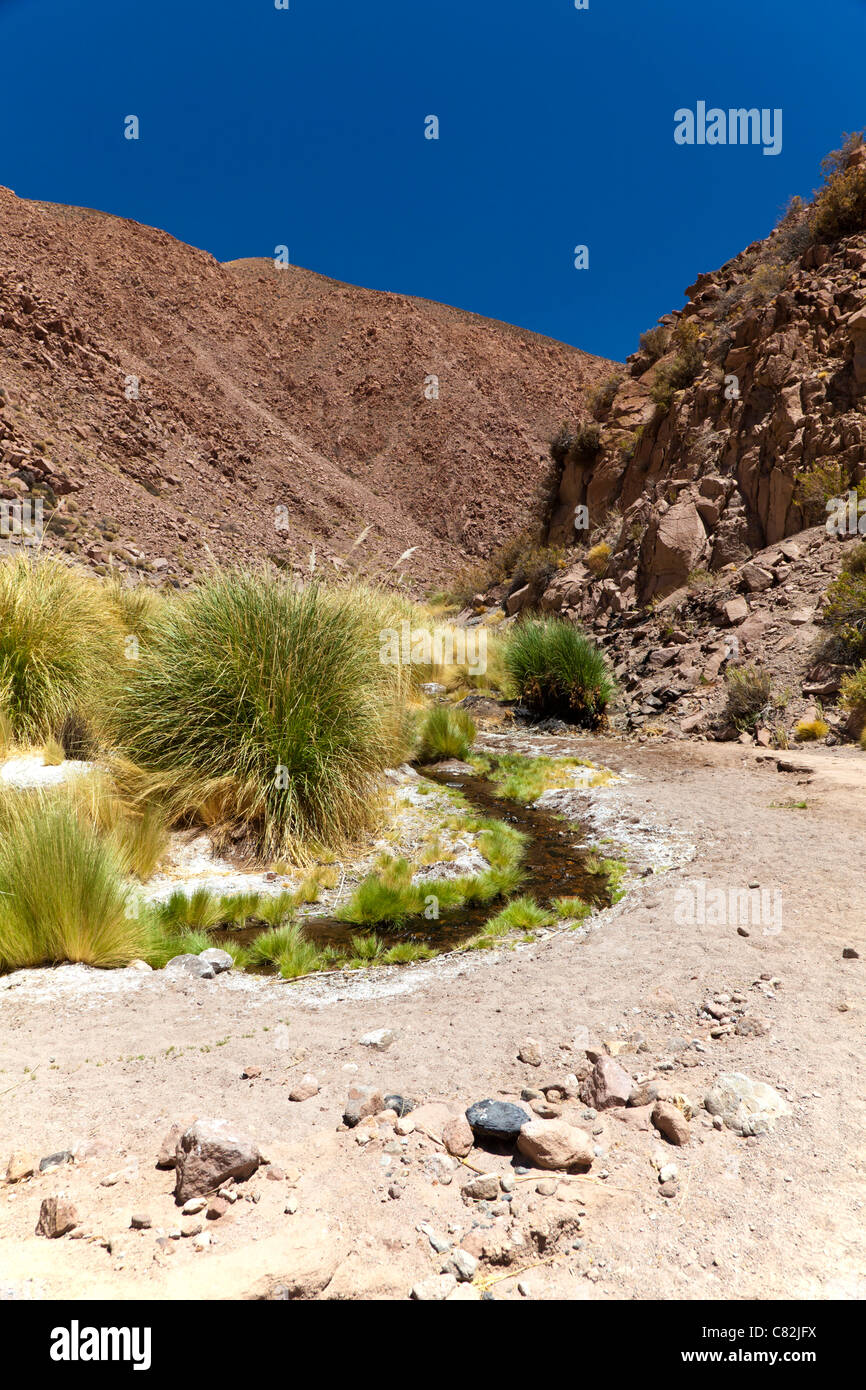 Small river winding through the Rio Grande, Atacama Desert, Chile Stock ...