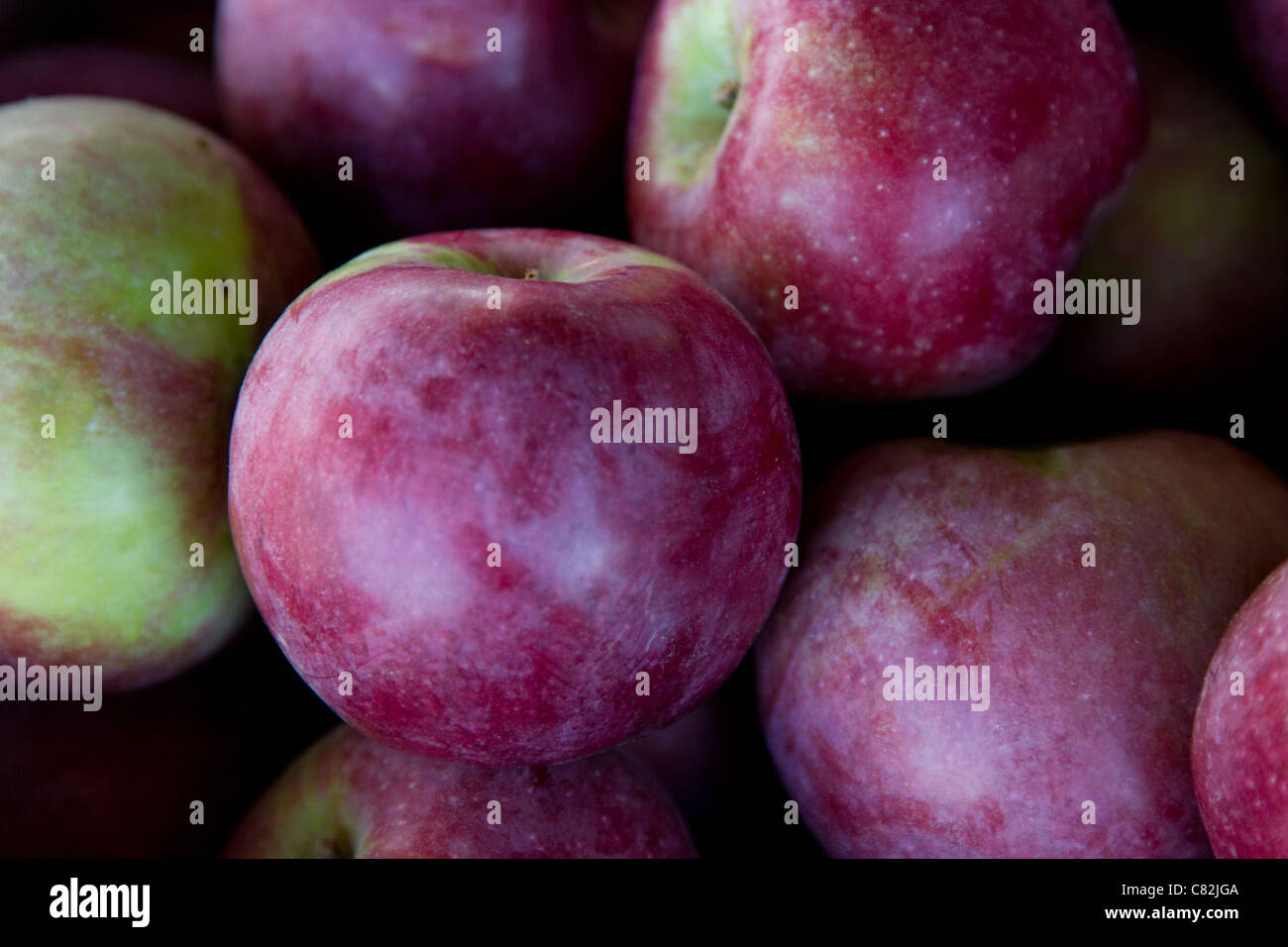 Macoun apple hi-res stock photography and images - Alamy