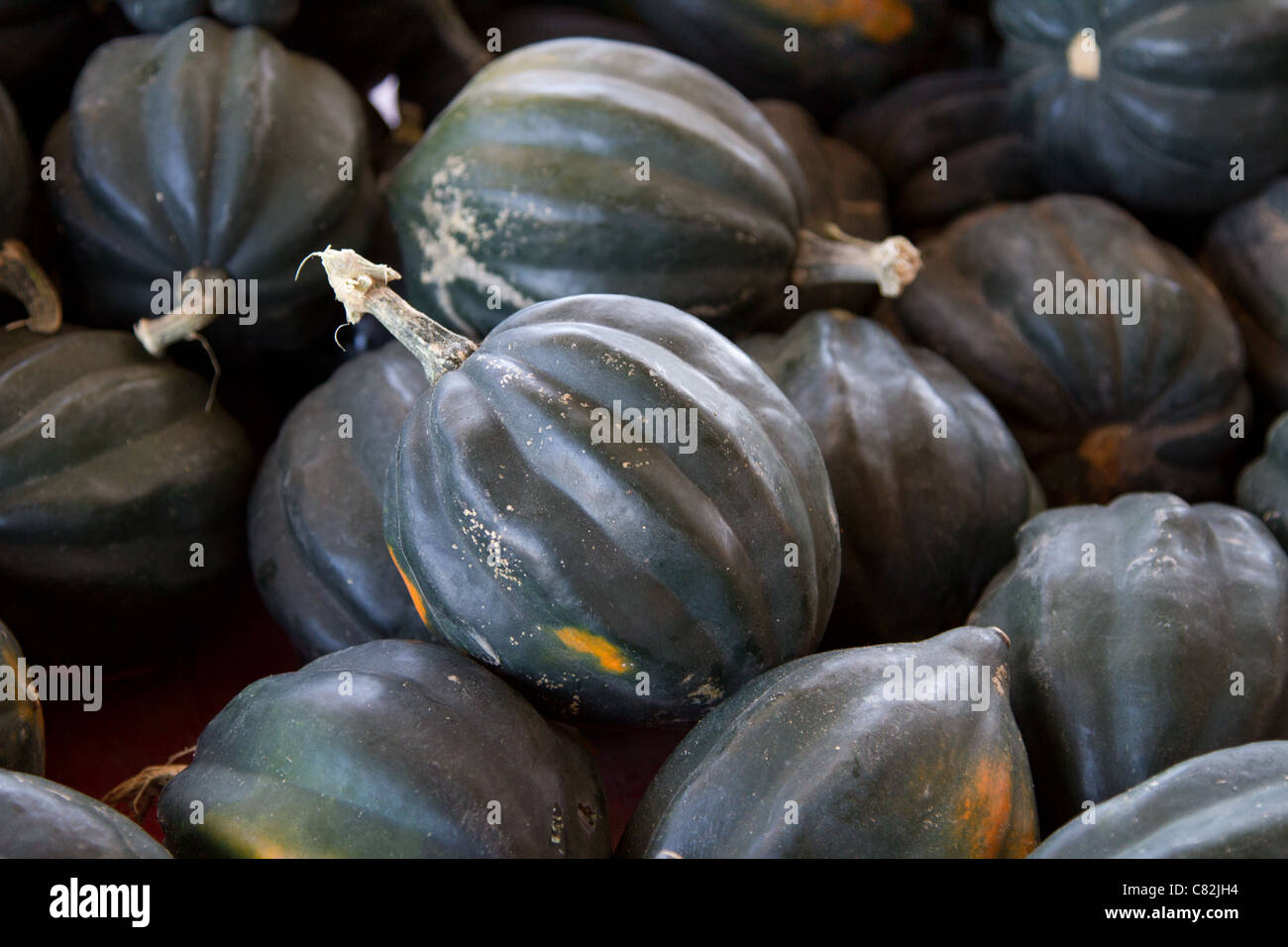 Pepper squash hi-res stock photography and images - Alamy