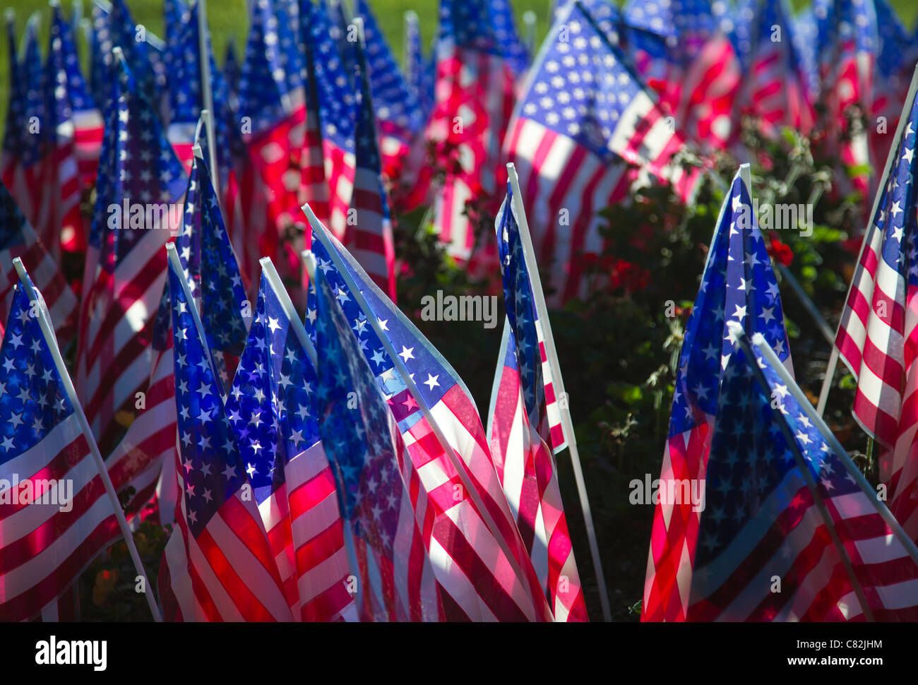 Flags america hi-res stock photography and images - Alamy