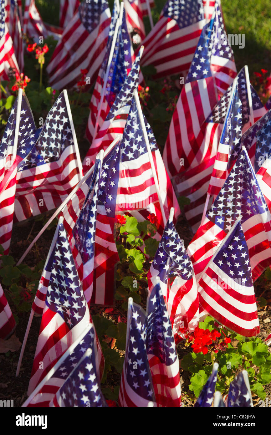 Flags america hi-res stock photography and images - Alamy
