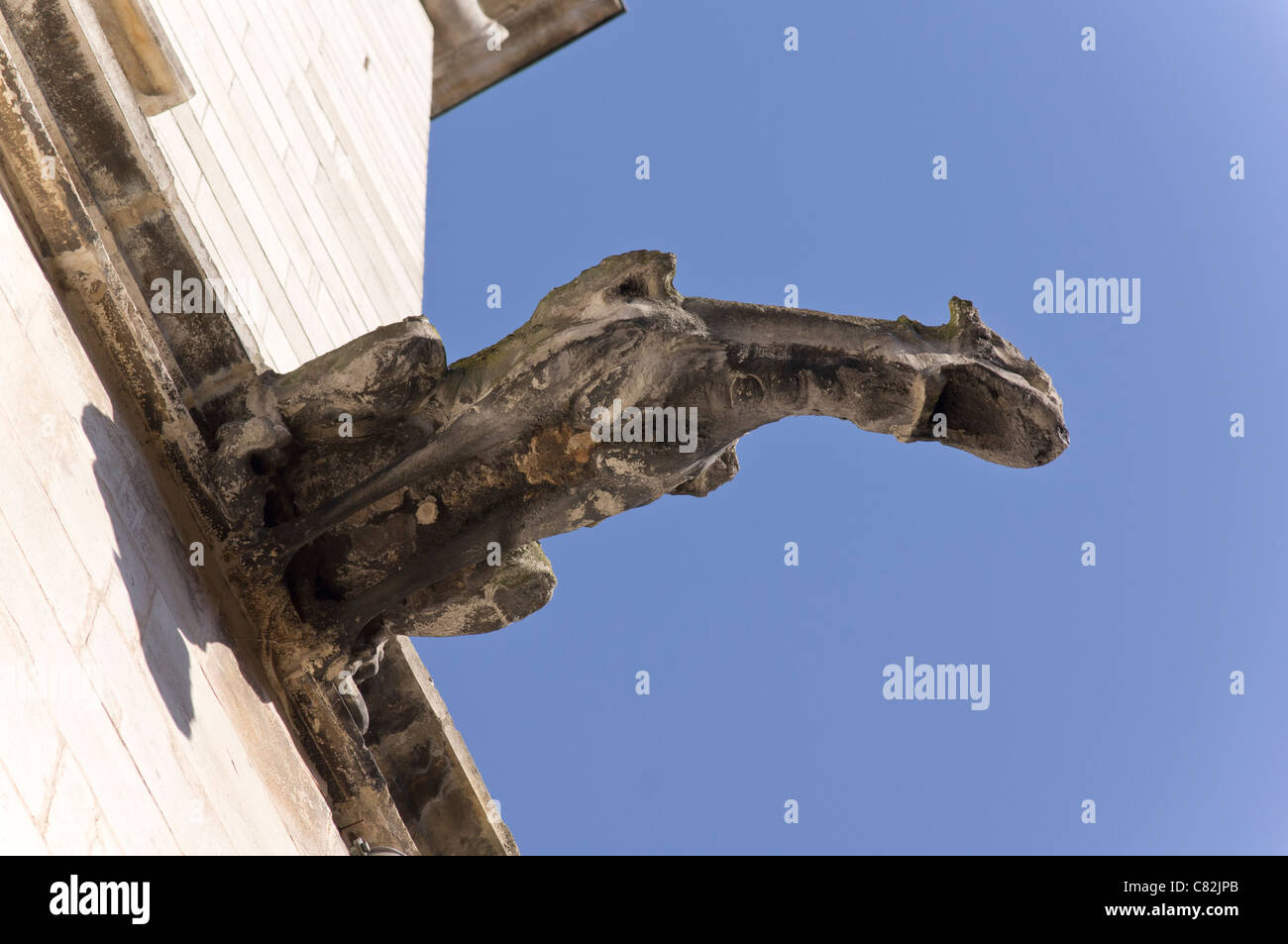 Gargoyle on a church hi-res stock photography and images - Alamy