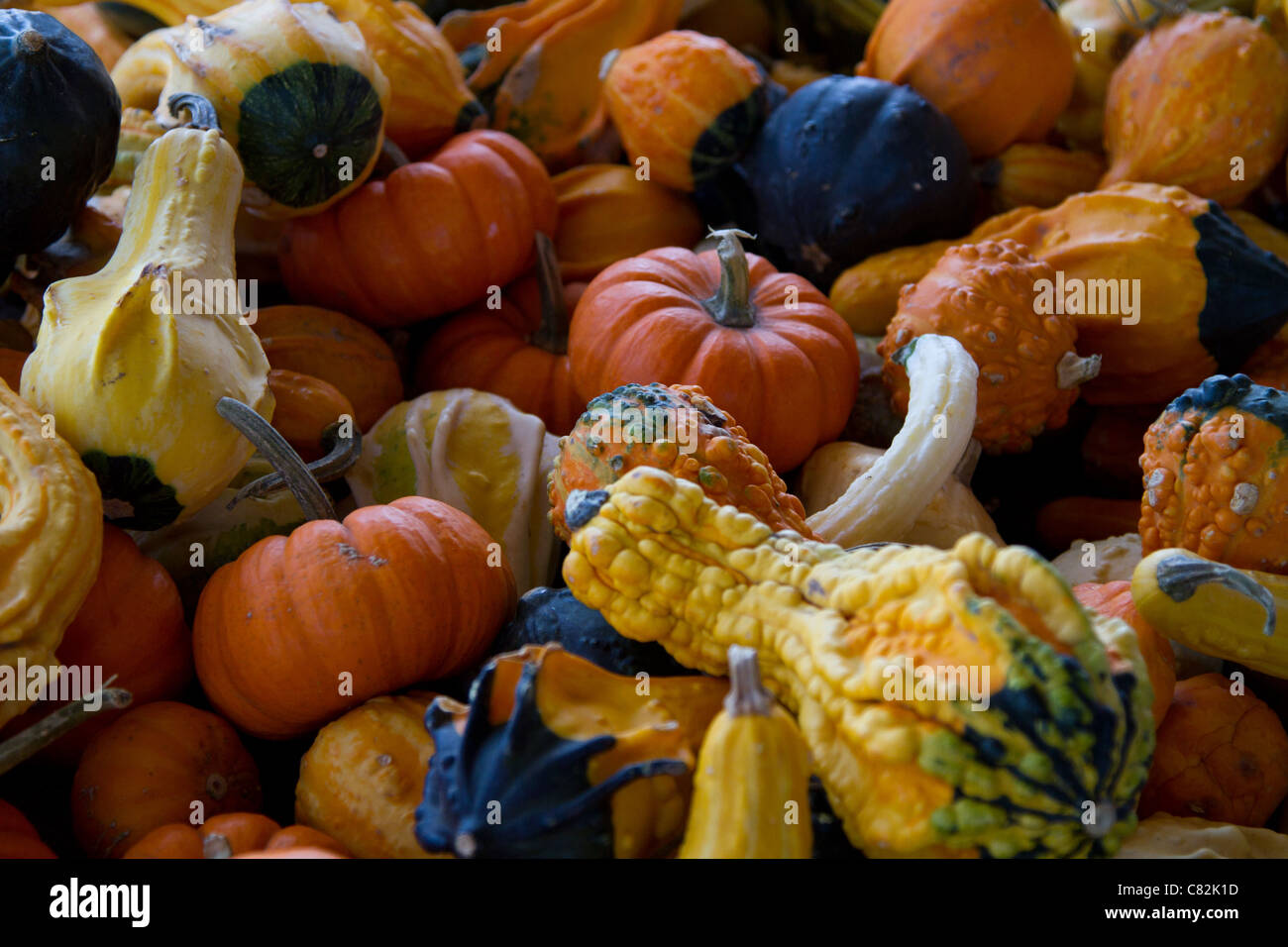 Pepper squash hi-res stock photography and images - Alamy
