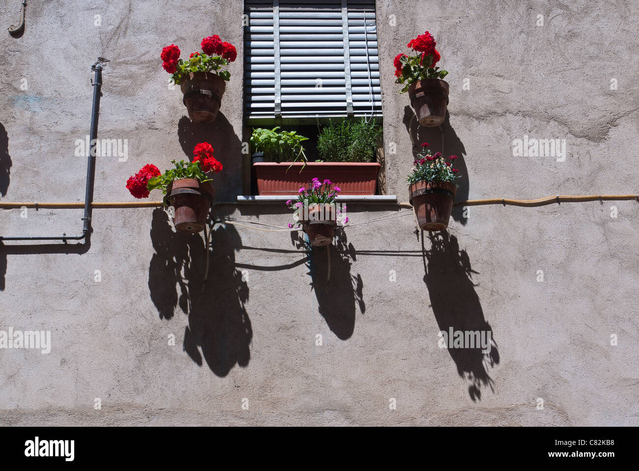 Potted geraniums hang surrounding a second floor window in the Umbrian ...