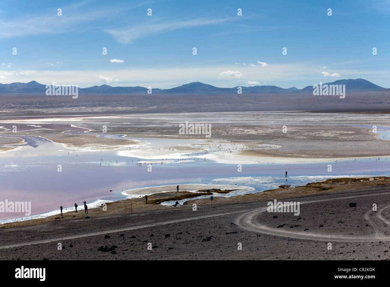 Tourists on the edge of the stunning Laguna Colorada (Red Lagoon) in ...