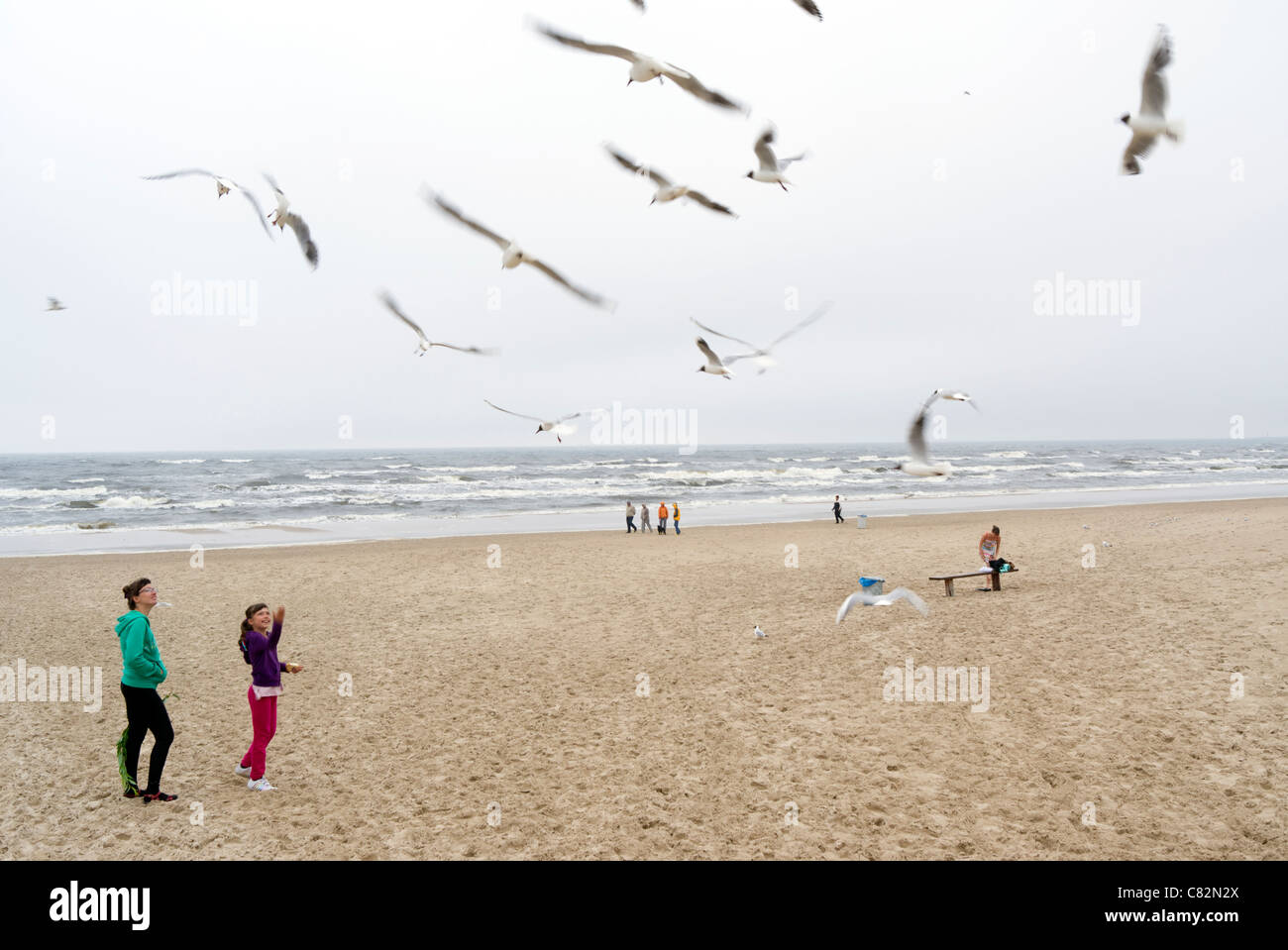 Poland, Baltic Sea shore, Swinoujscie town Stock Photo - Alamy
