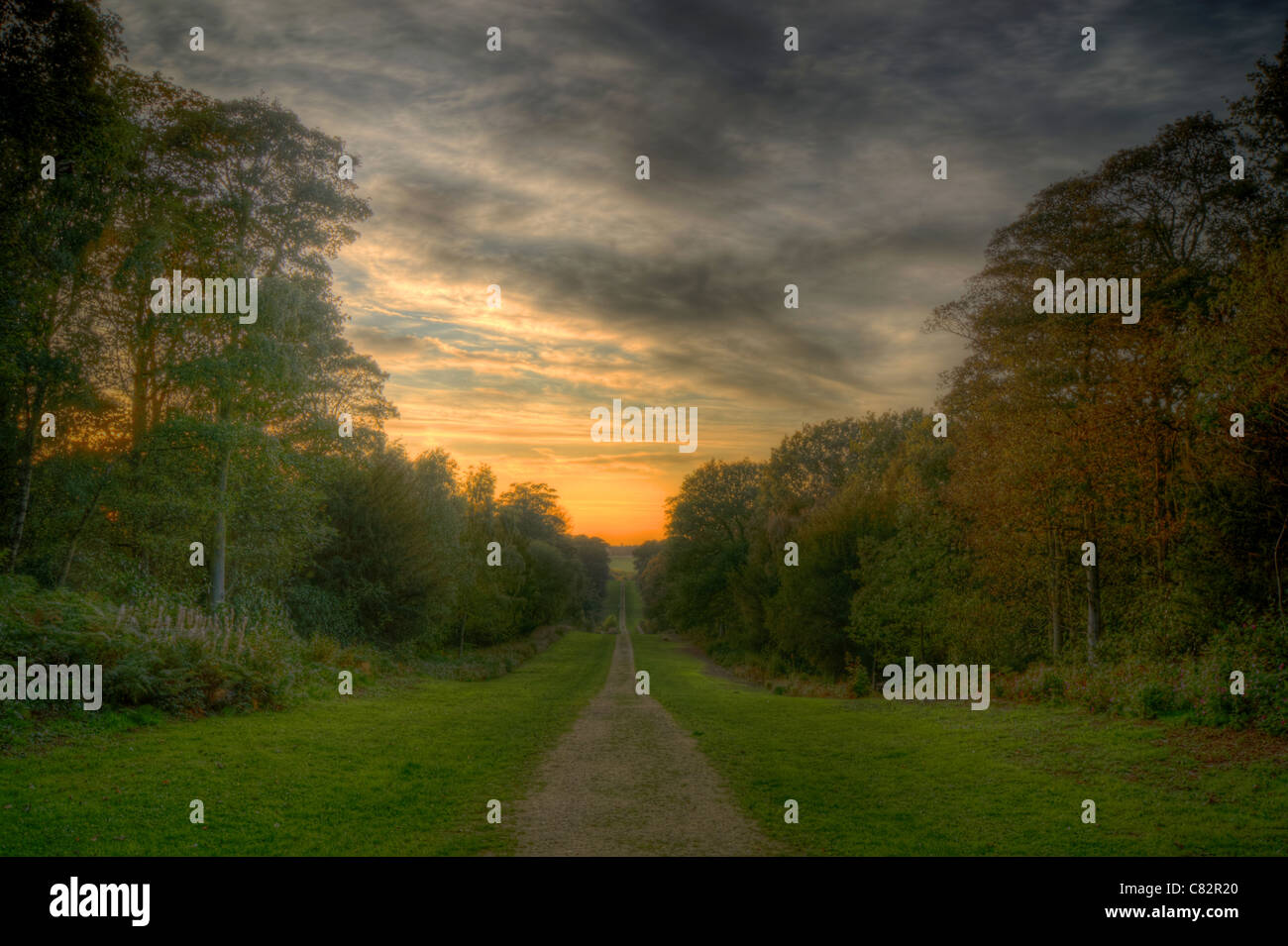 Path to Temple Newsam in Leeds Stock Photo - Alamy