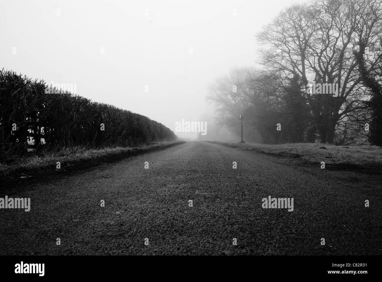 A road disappearing into the fog Stock Photo - Alamy