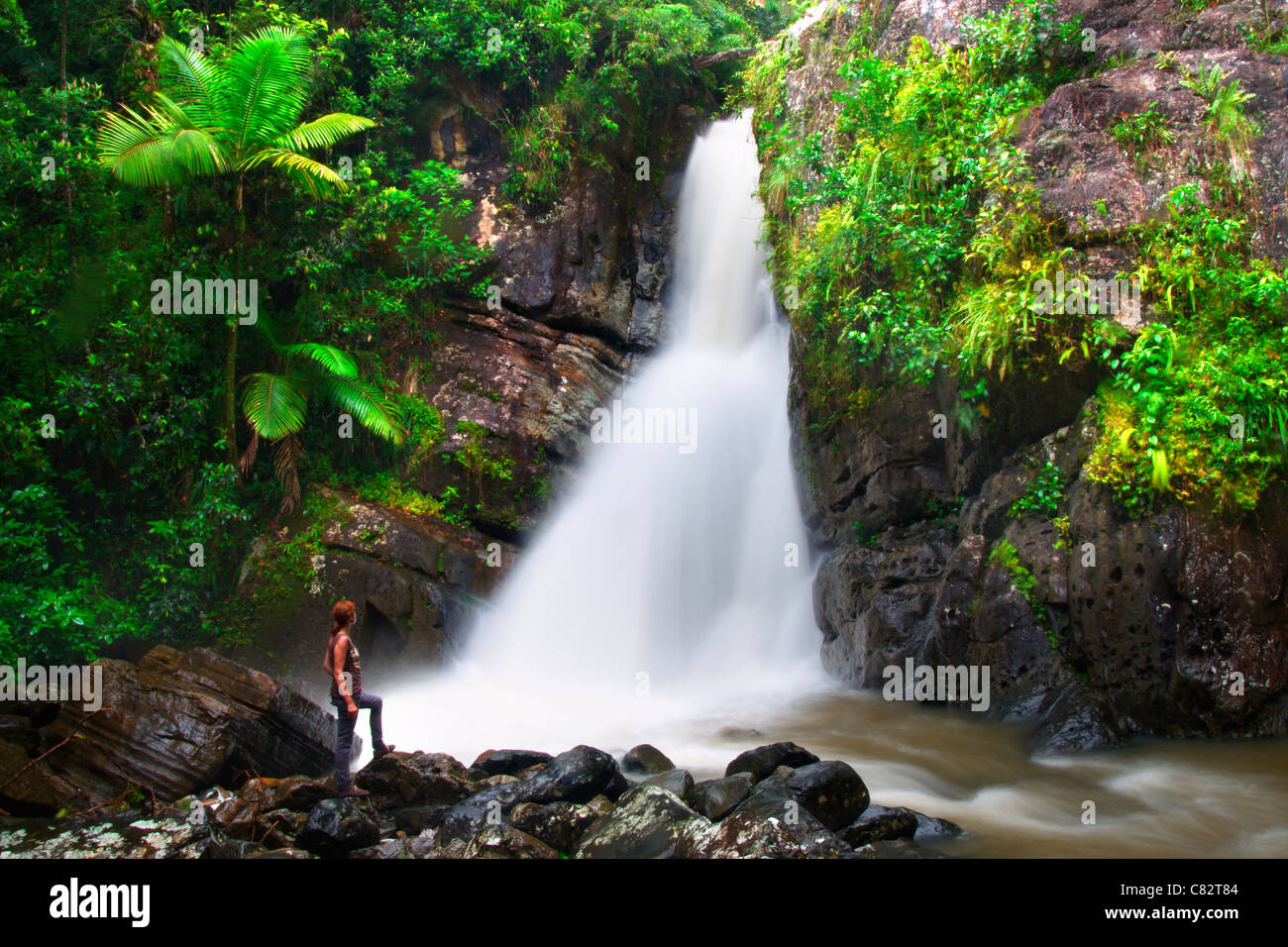 La Mina Waterfall in the Yunque Park in Puerto Rico Stock Photo - Alamy