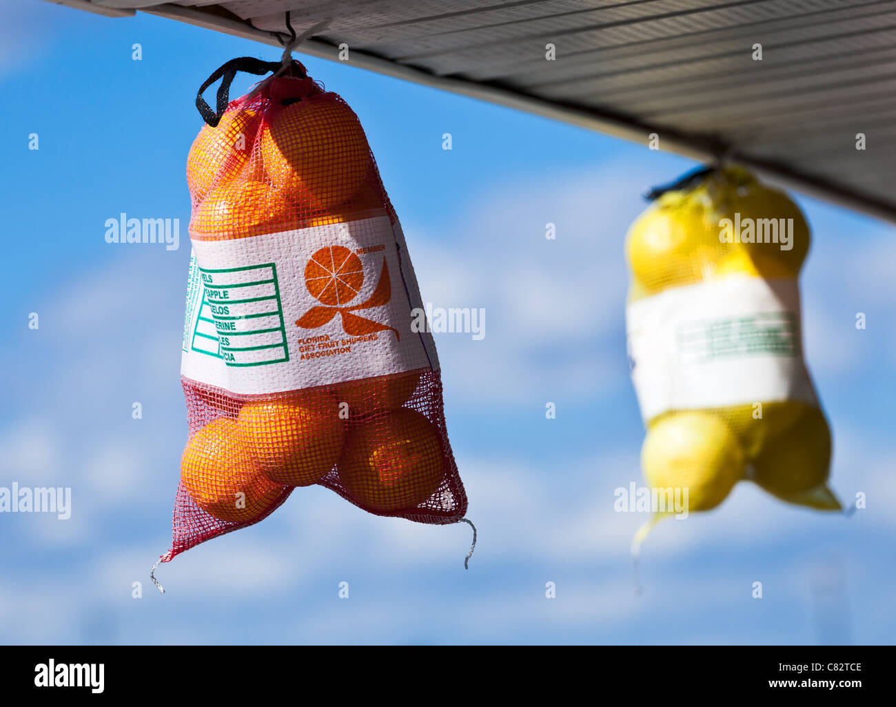 Florida oranges hi-res stock photography and images - Alamy