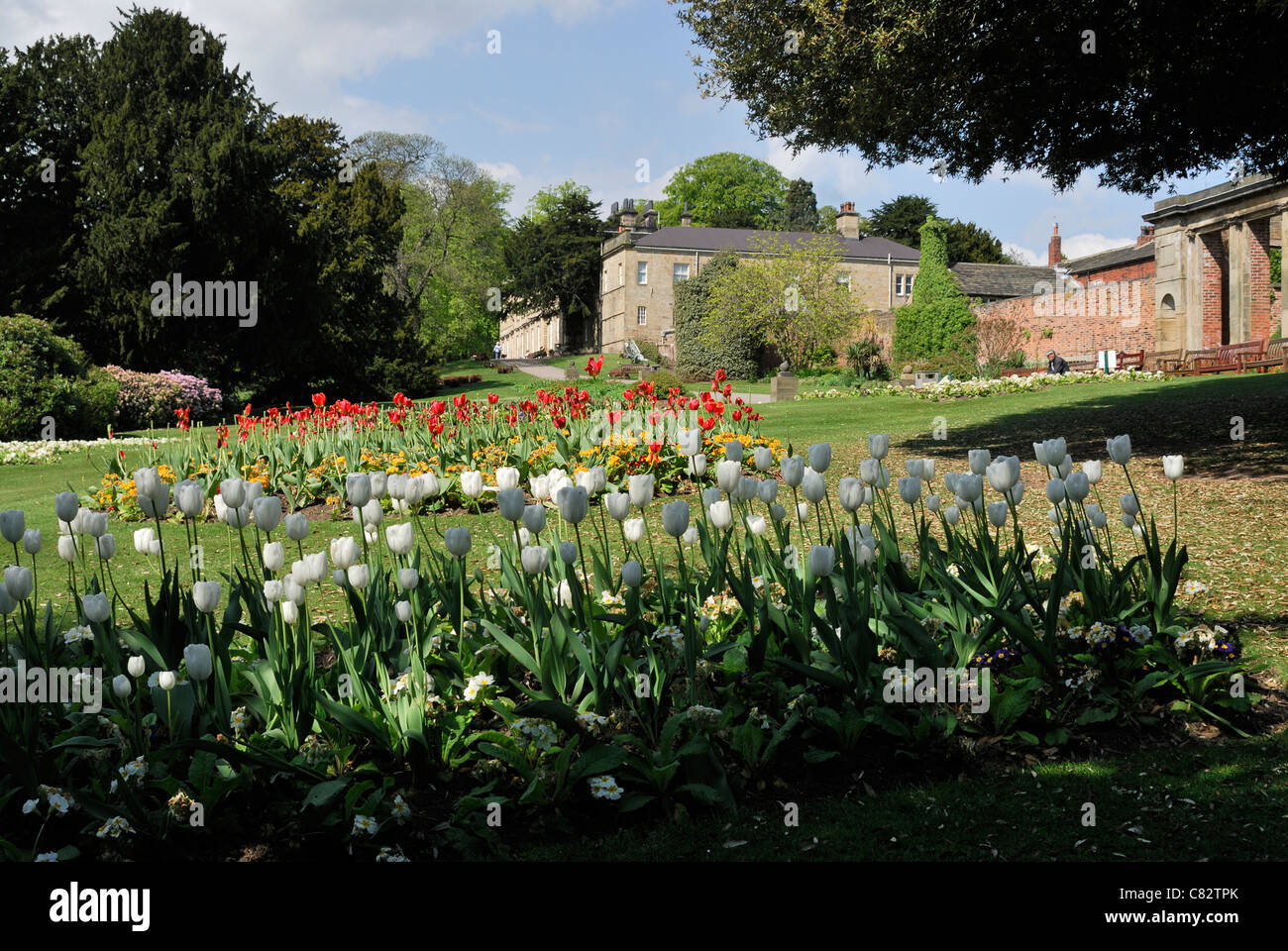 views of gardens and classical sculptures,unusual flowers with bright ...