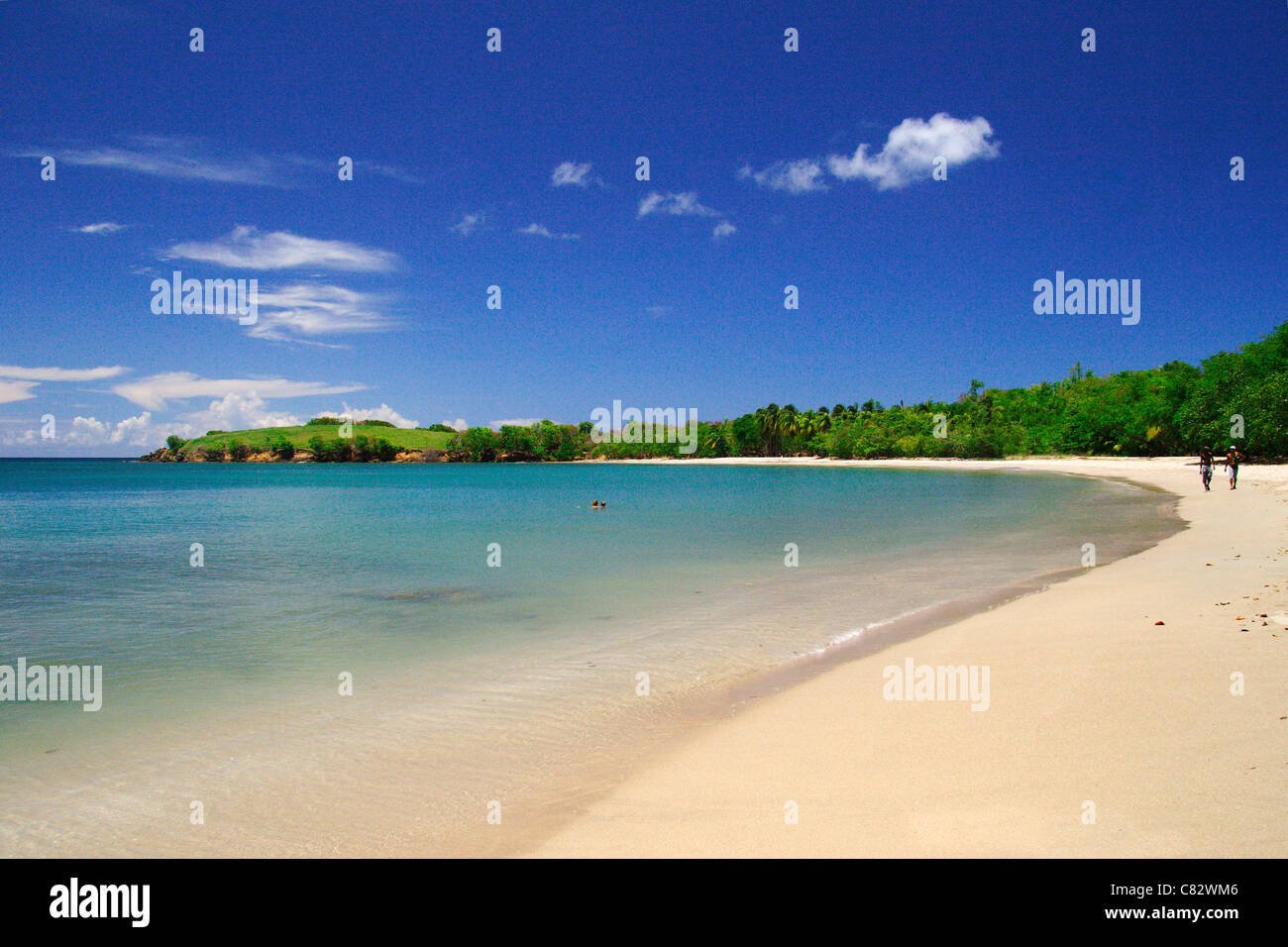 A typical beach of the Tartane in La Caravelle, in Martinique, a ...