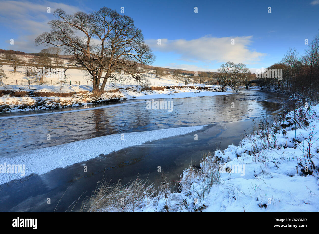 Winter on the River Wharfe as seen near Barden Tower Stock Photo - Alamy