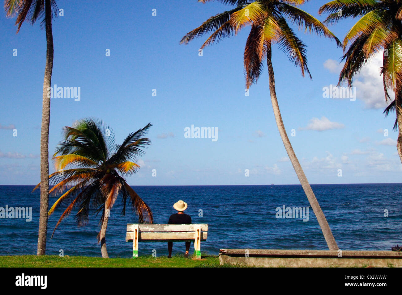 The promenade seafront in Trinite, a village in the caribbean island of ...