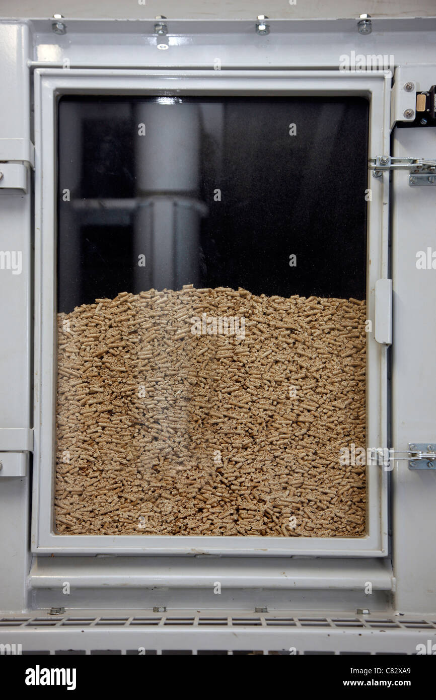 Production of wood pellets. A type of wood fuel. Sawdust is ...