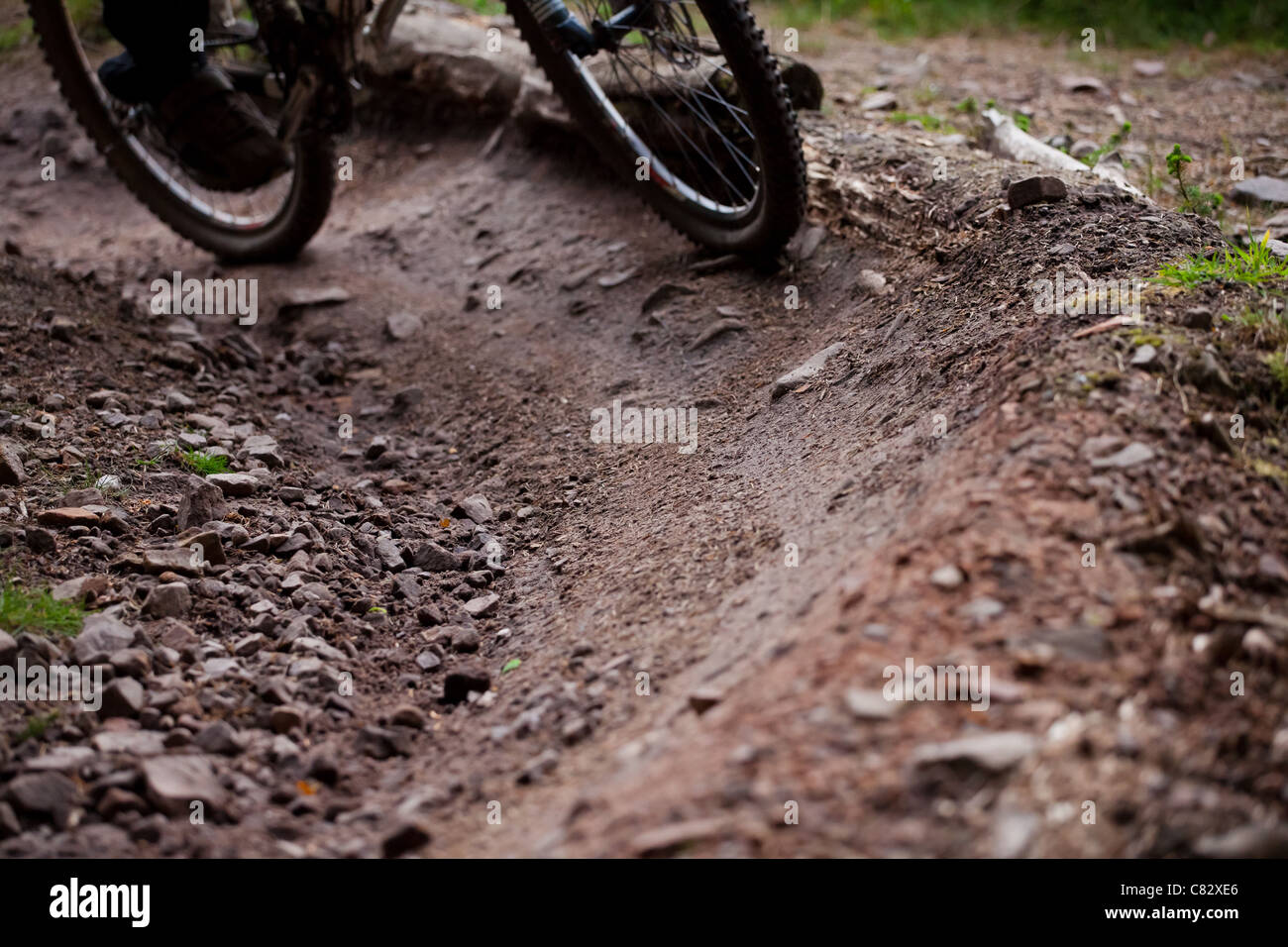 Mountain bike carving a berm Stock Photo - Alamy
