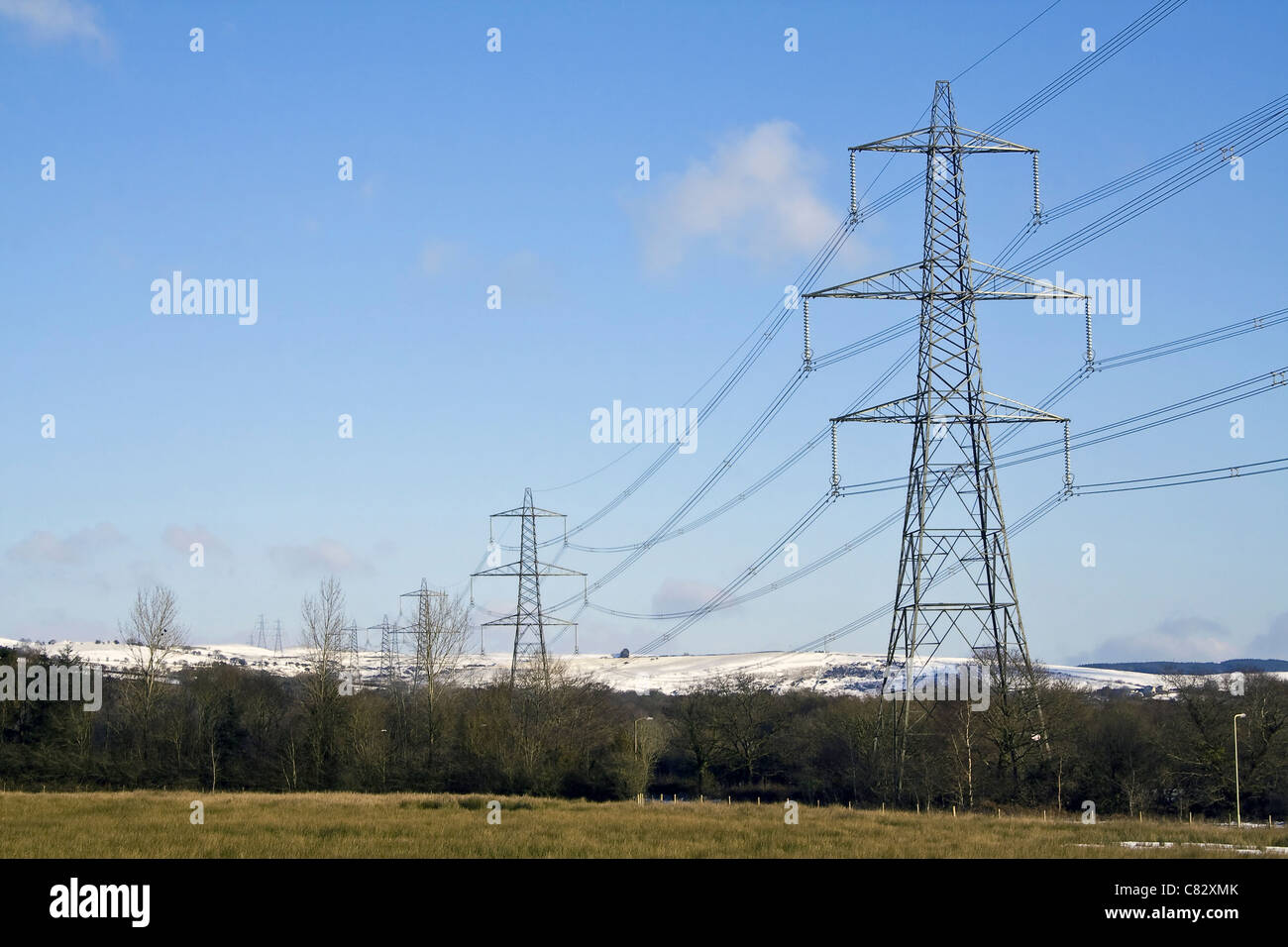 Electric power cables and pylons play a crucial role in transmitting ...