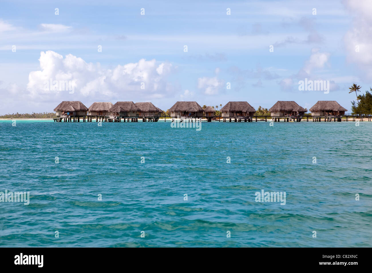 seacoast with palm trees and small houses on water Stock Photo - Alamy
