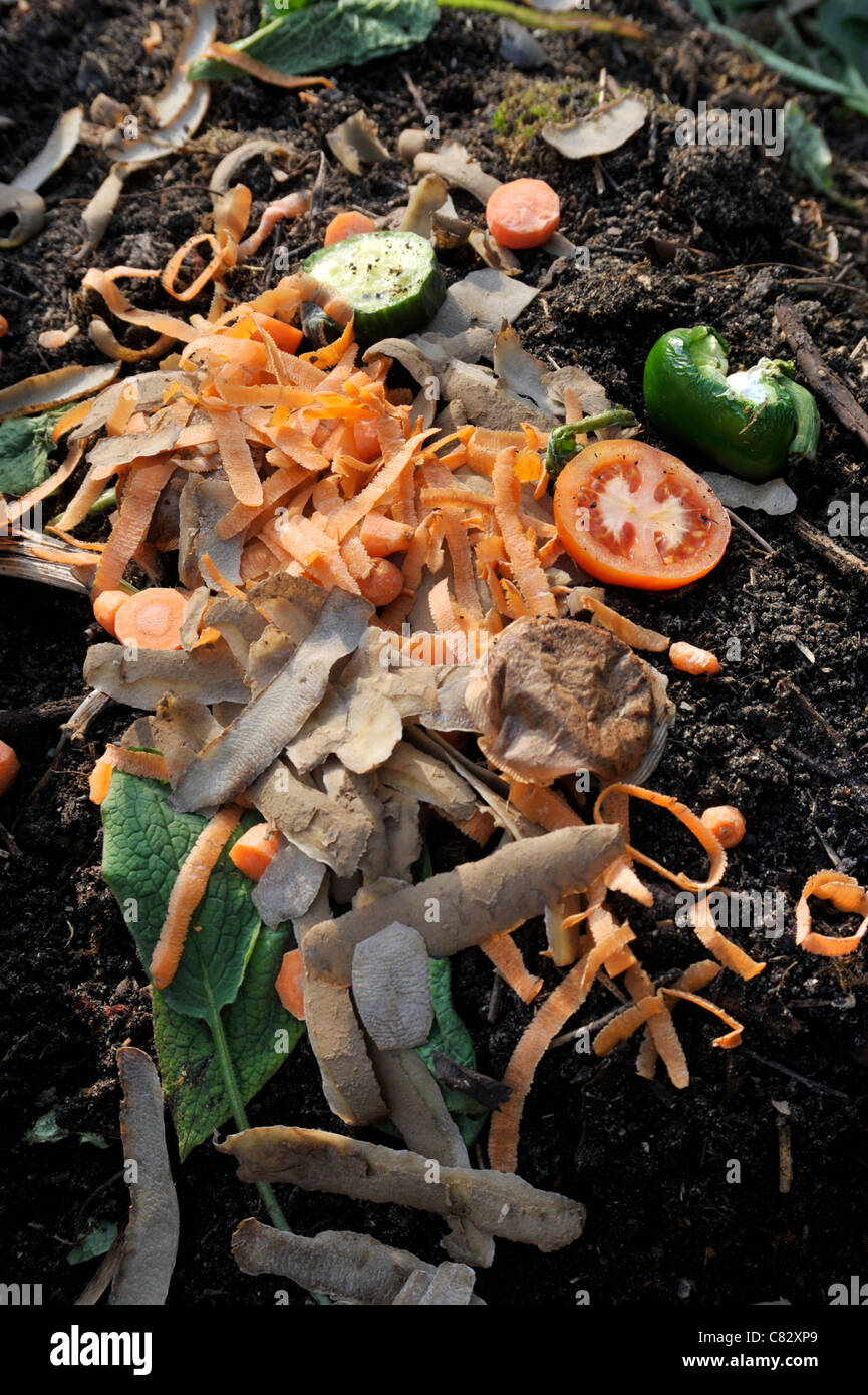 Food waste bin vegetables potato hi-res stock photography and images ...