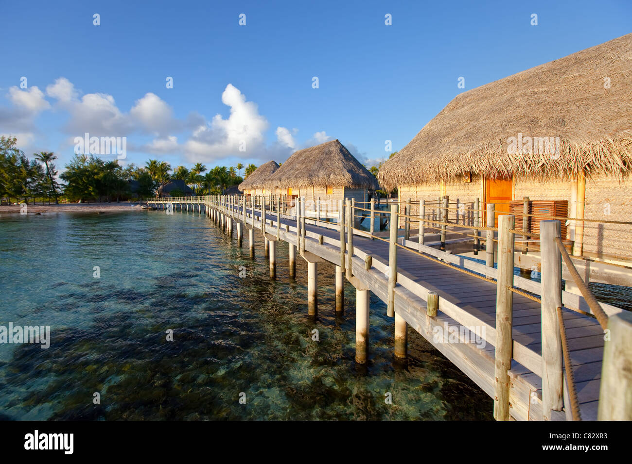 seacoast with palm trees and small houses on water Stock Photo - Alamy