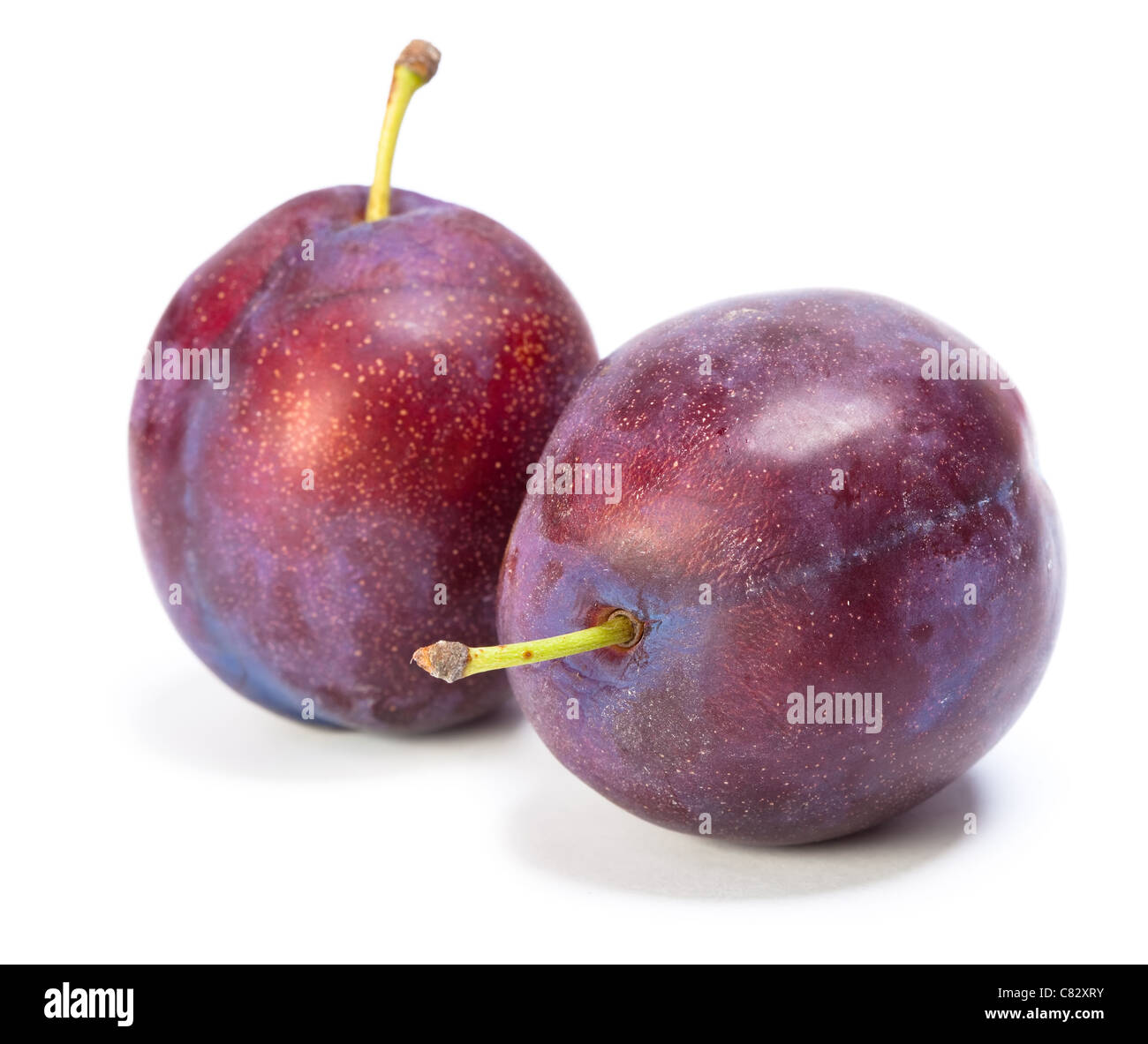 Plum seed row hi-res stock photography and images - Alamy