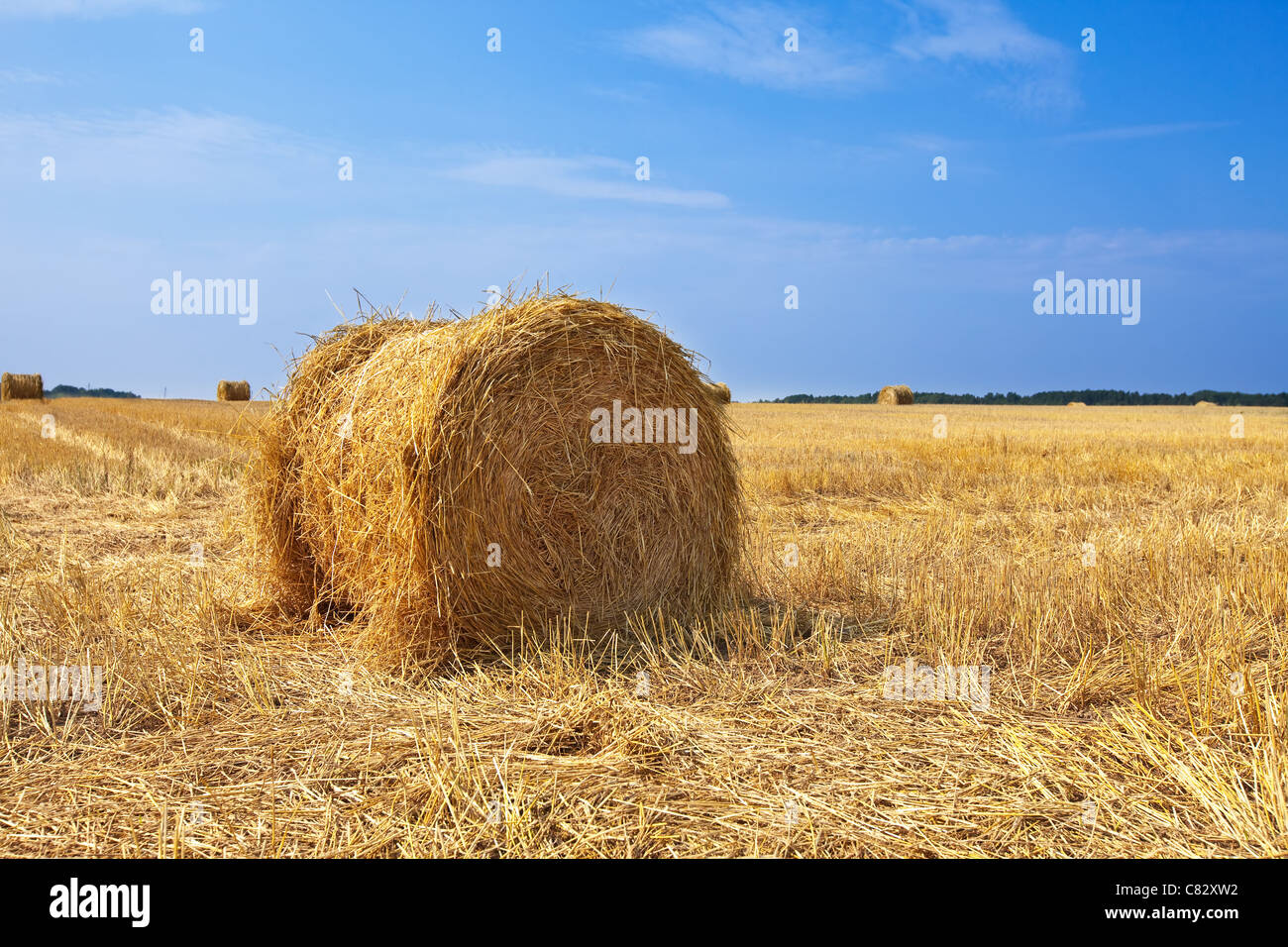 Stacks in the field Stock Photo - Alamy