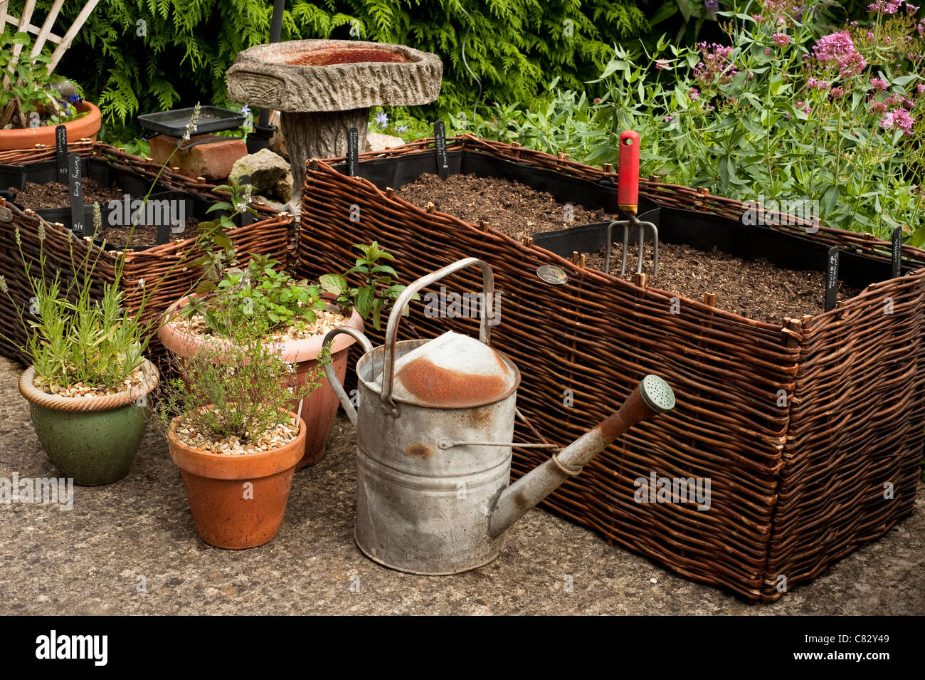 Newly sown raised vegetable and salad planters Stock Photo - Alamy