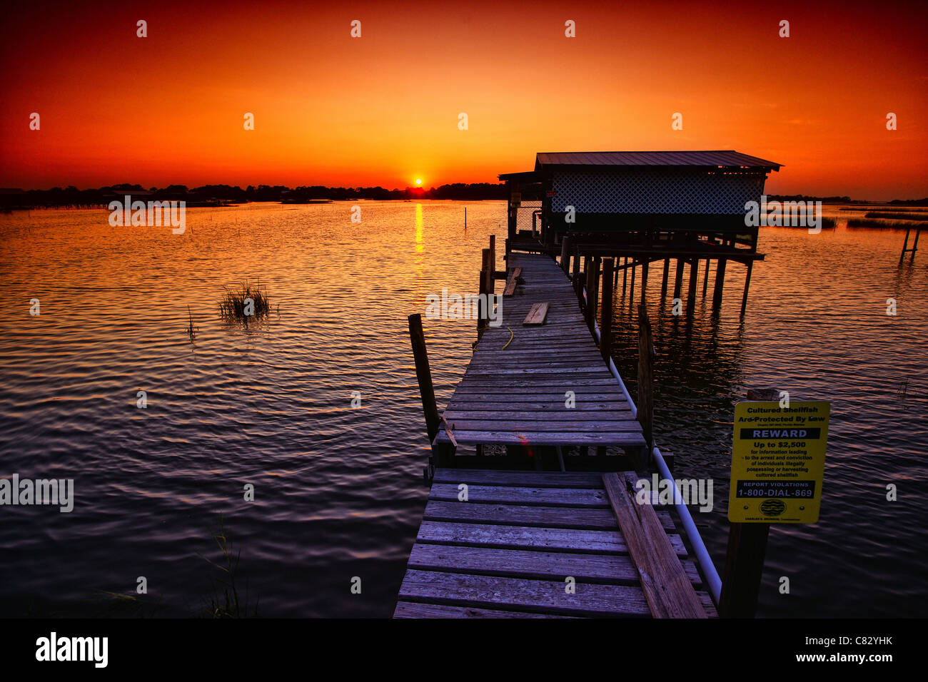 Cedar key beach hi-res stock photography and images - Alamy