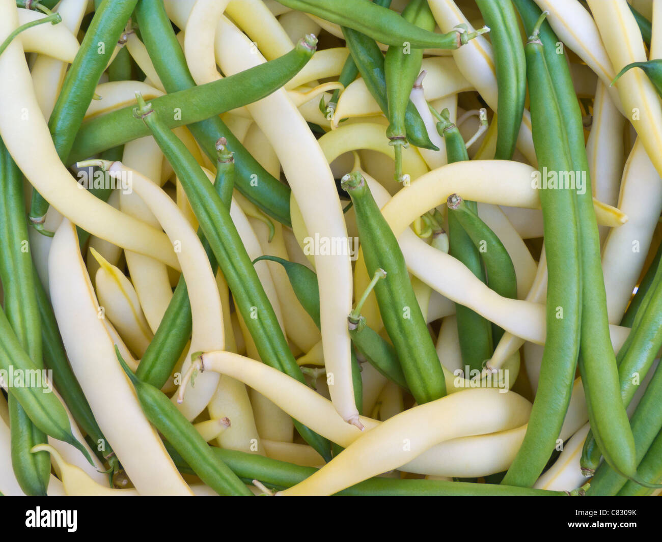 Green beans yellow wax beans hi-res stock photography and images - Alamy