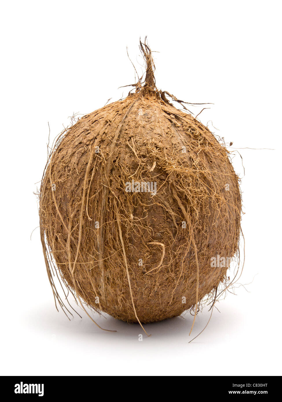 Coco whole hi-res stock photography and images - Alamy