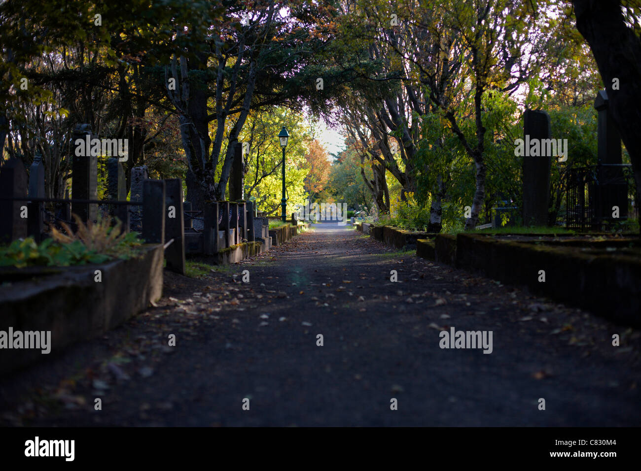 Tree lined cemetery hi-res stock photography and images - Alamy