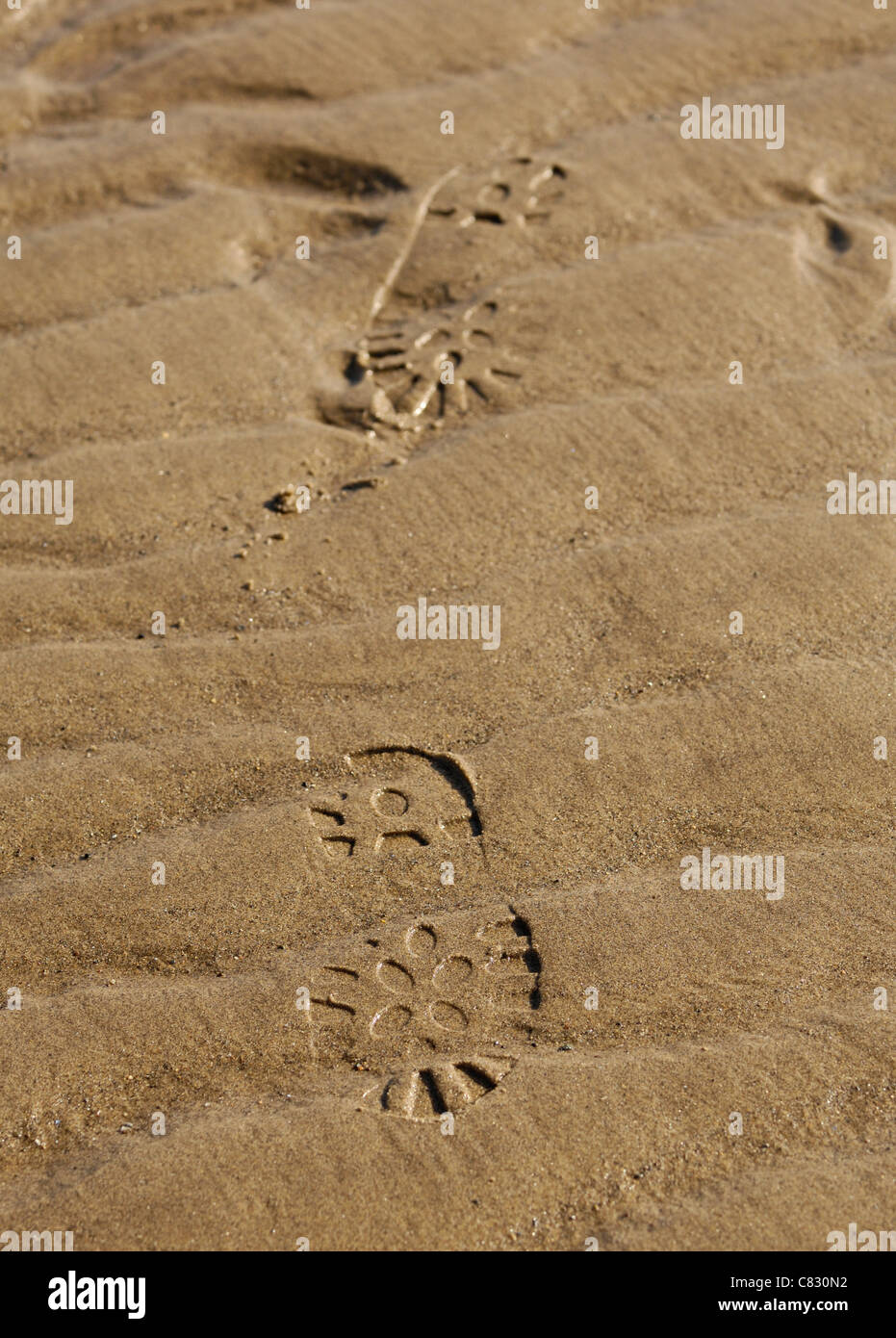 Sand sole hi-res stock photography and images - Alamy