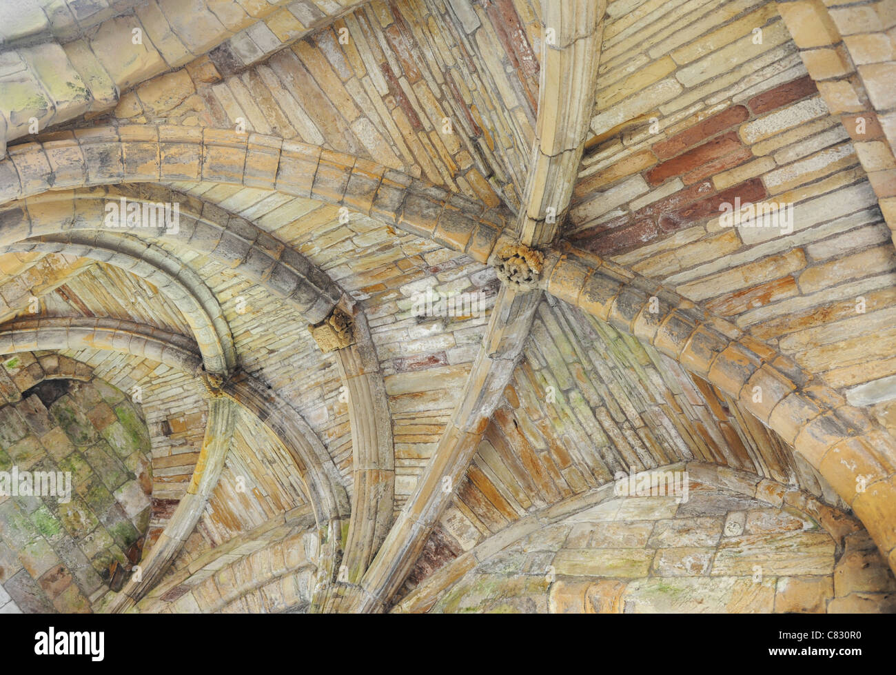 Vaulted Stone Ceiling High Resolution Stock Photography and Images - Alamy
