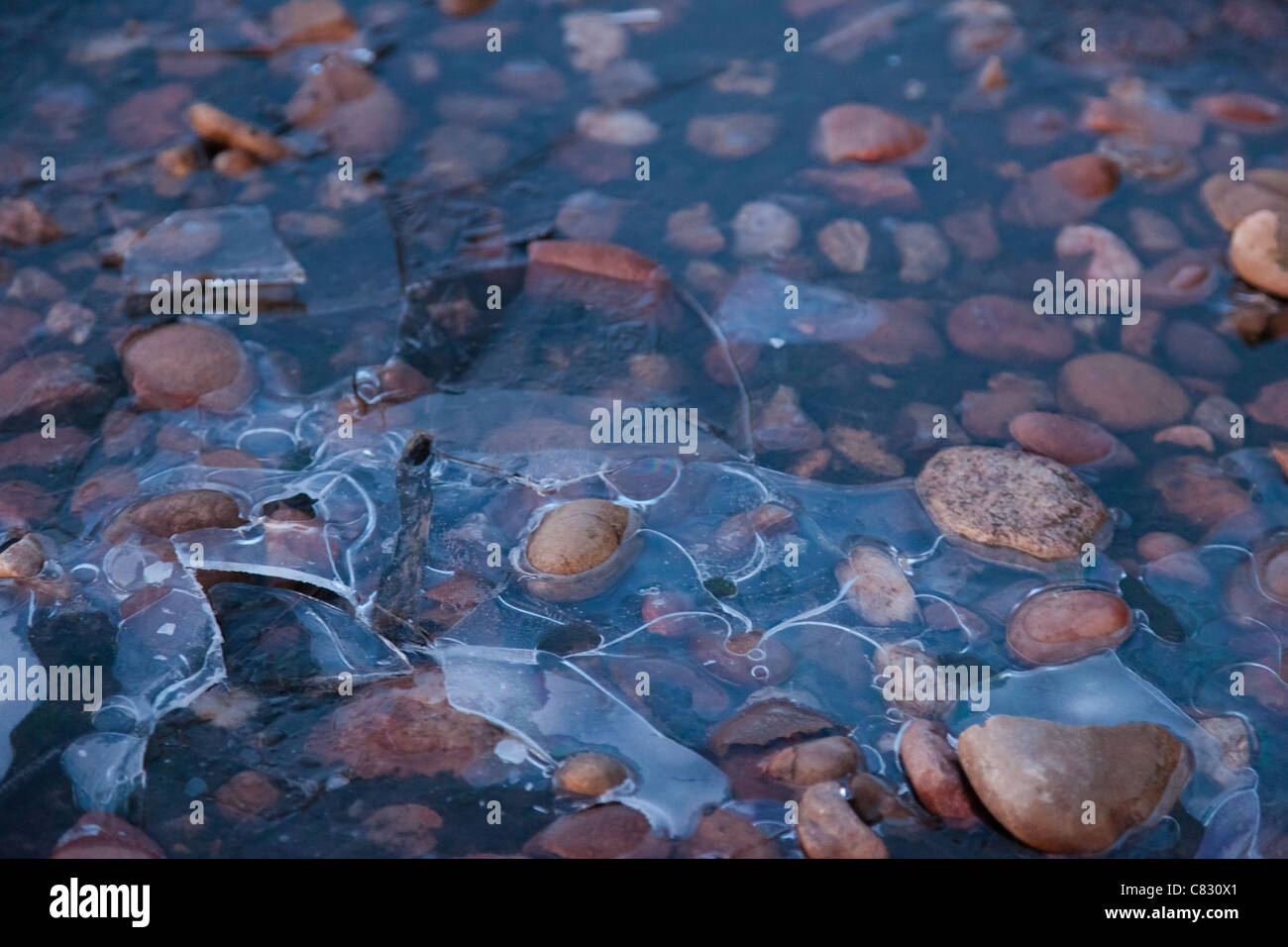Ice puddle hi-res stock photography and images - Alamy
