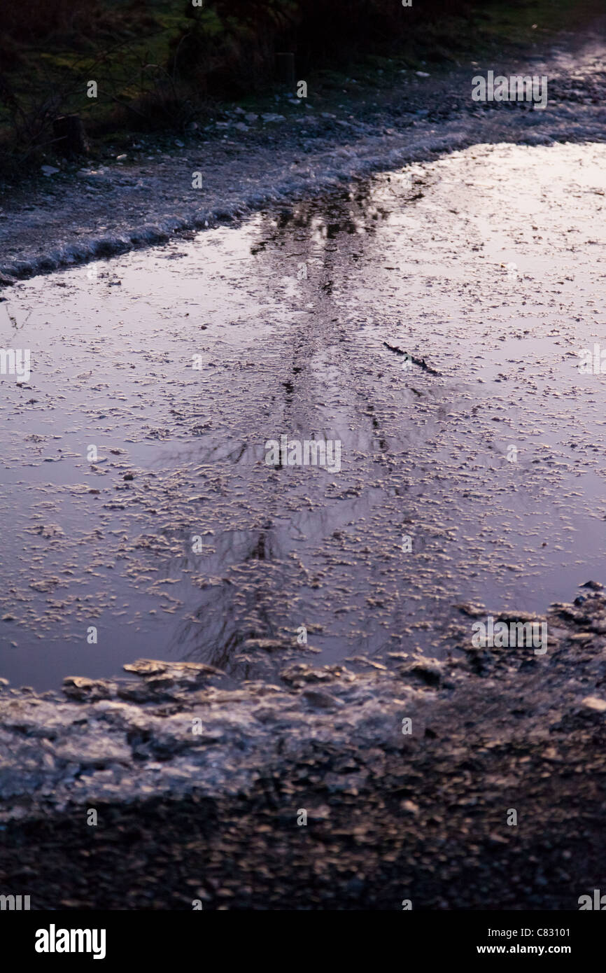 Puddle iced over hi-res stock photography and images - Alamy