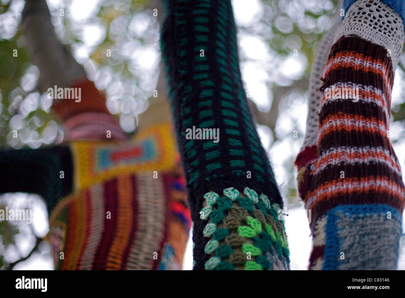 Hand knit sweaters for trees Stock Photo - Alamy