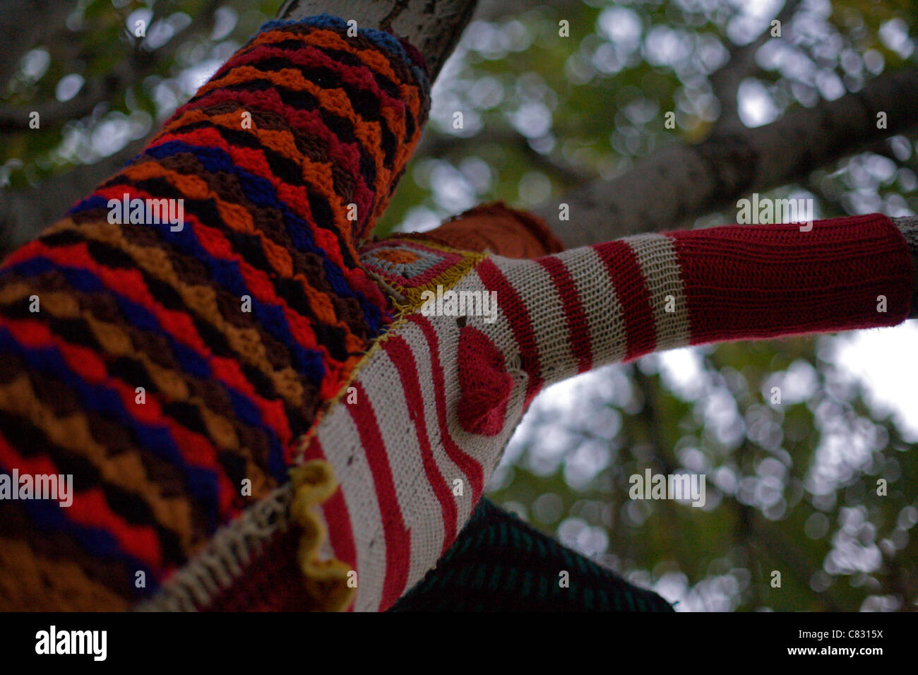 Hand knit sweaters for trees Stock Photo - Alamy