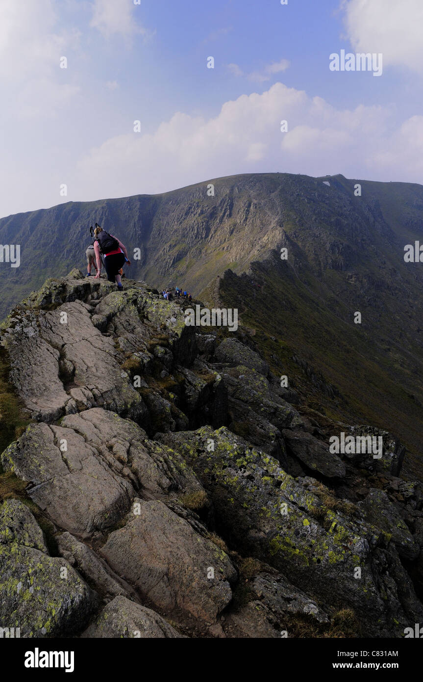 climbing the ridge on striding edge, Helvellyn, lake district national ...
