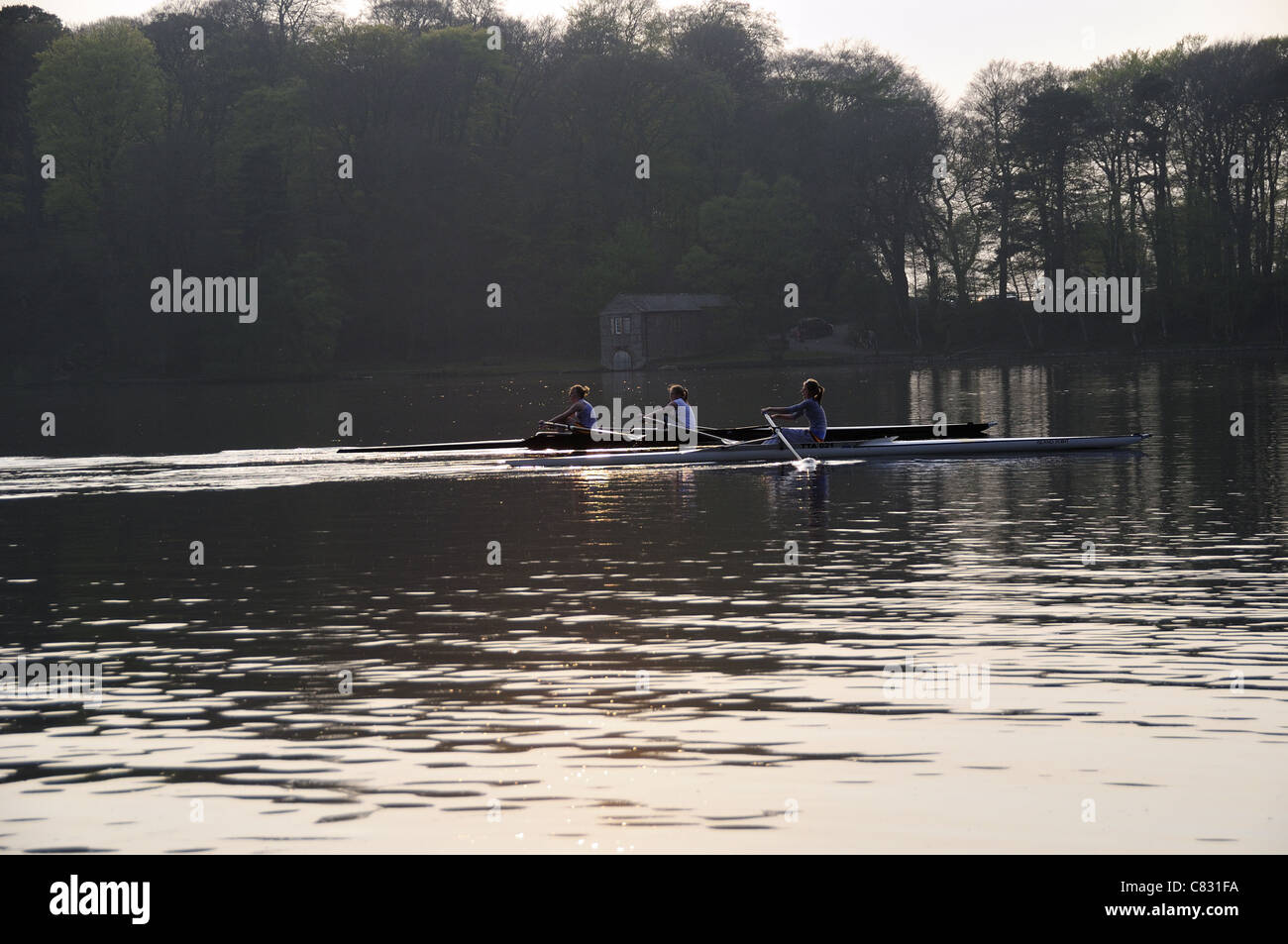 skull boat on lake Stock Photo - Alamy